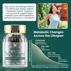 raw desiccated thyroid for energy