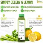 RAW Fountain 12 oz celery juice
