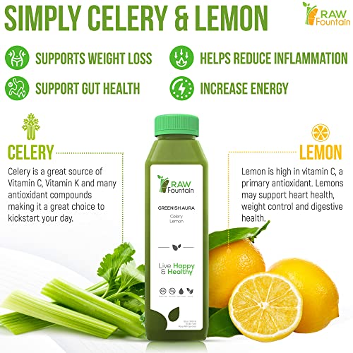 RAW Fountain 12 oz celery juice