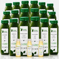 RAW Fountain juice cleanse detox