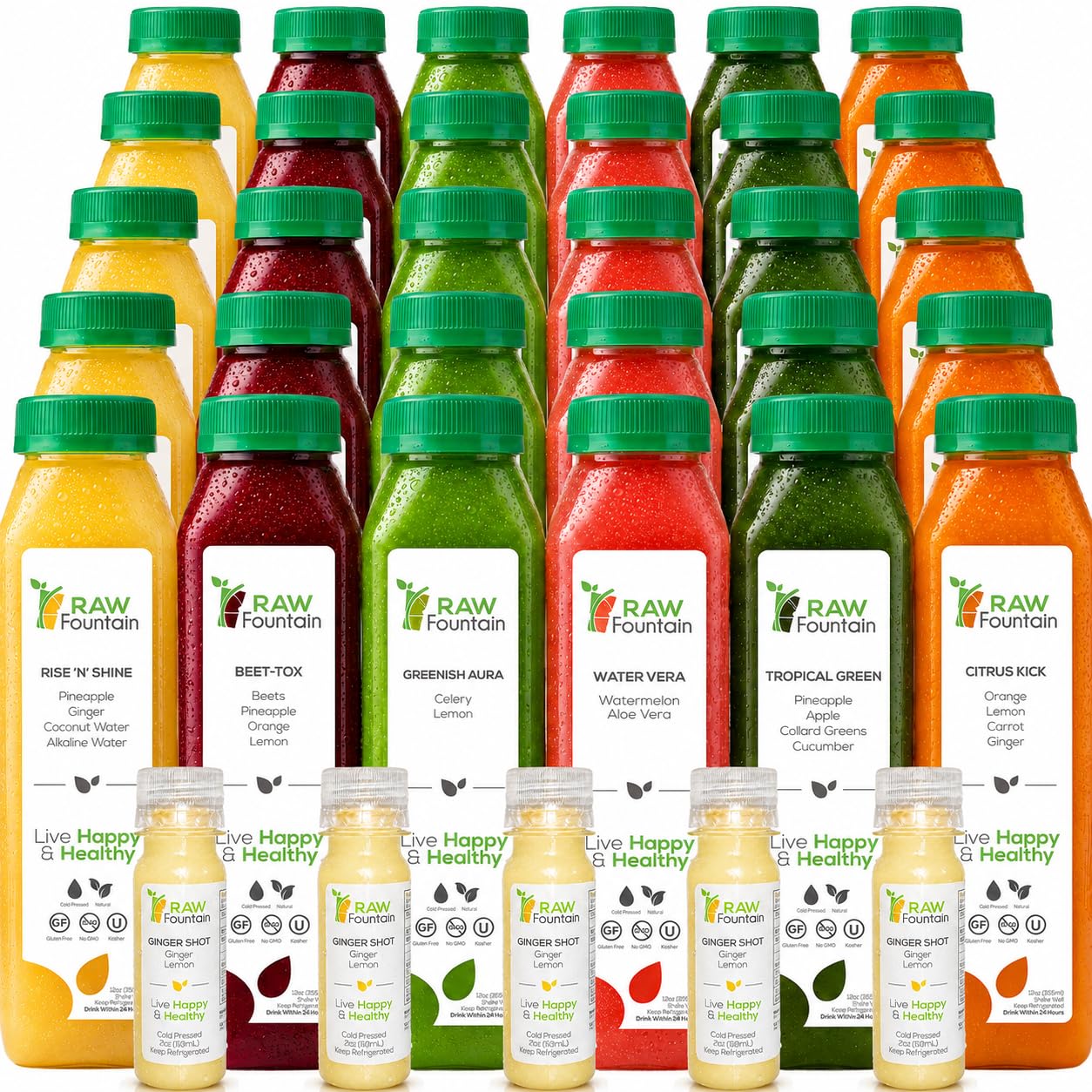 RAW Fountain juice cleanse detox