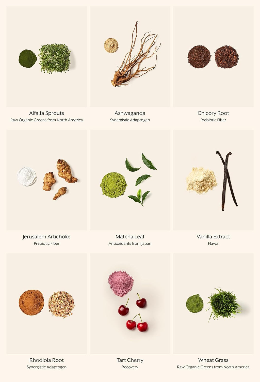 raw greens powder for immune support
