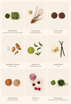 raw greens powder for immune support