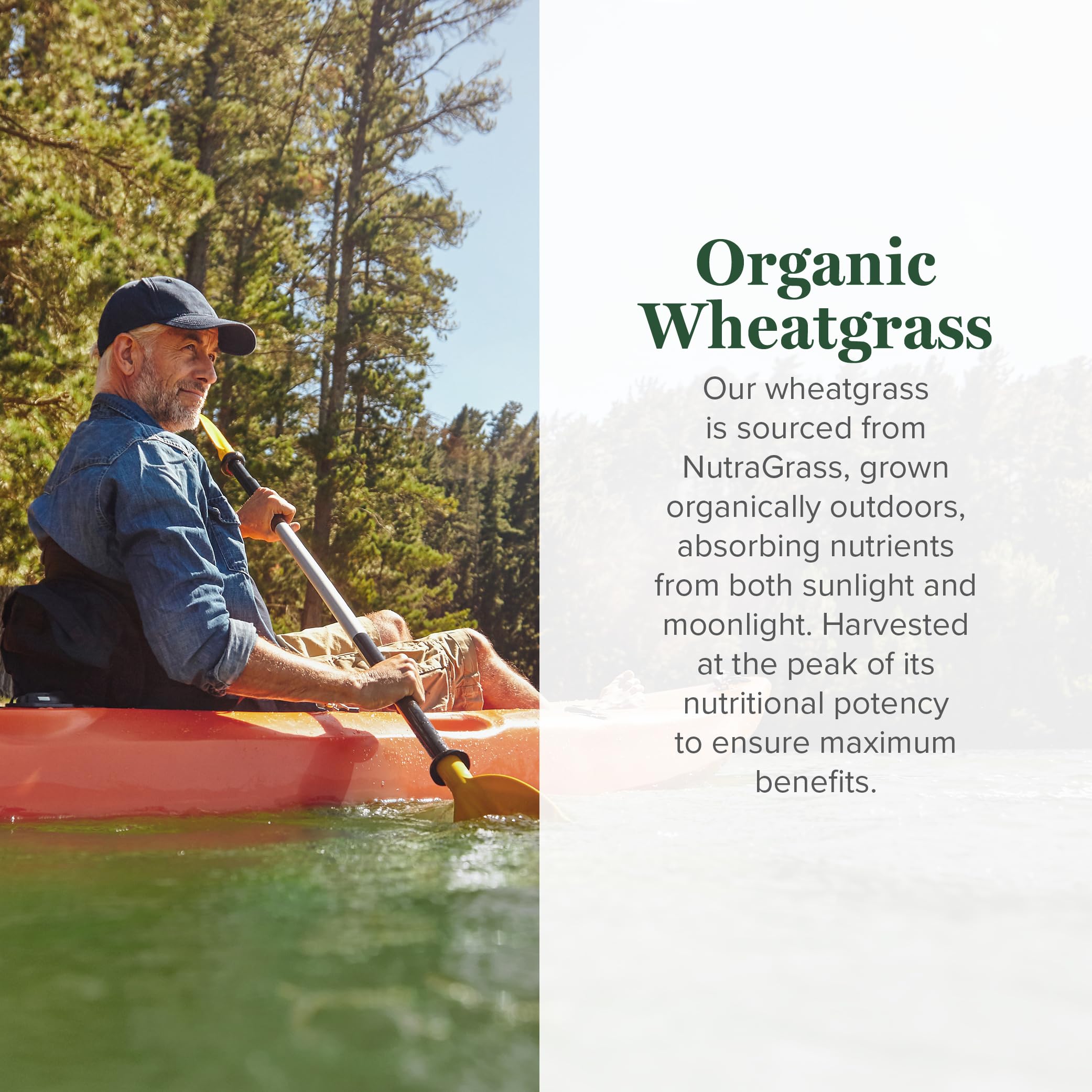 raw juice powder for vitality