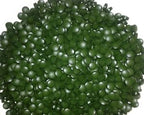 Raw Power Spirulina immune support tablets