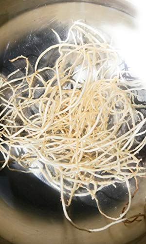 raw sea moss for energy boost