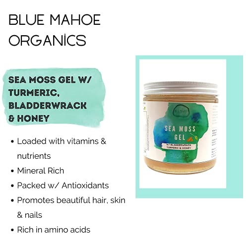 raw sea moss gel for recipes