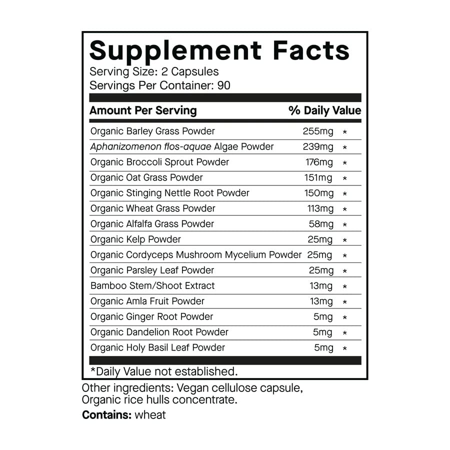 raw superfoods for daily nourishment