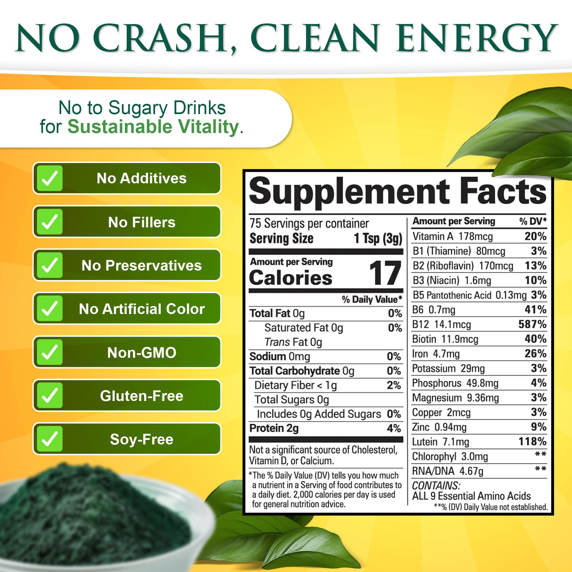 raw vegan protein chlorella powder