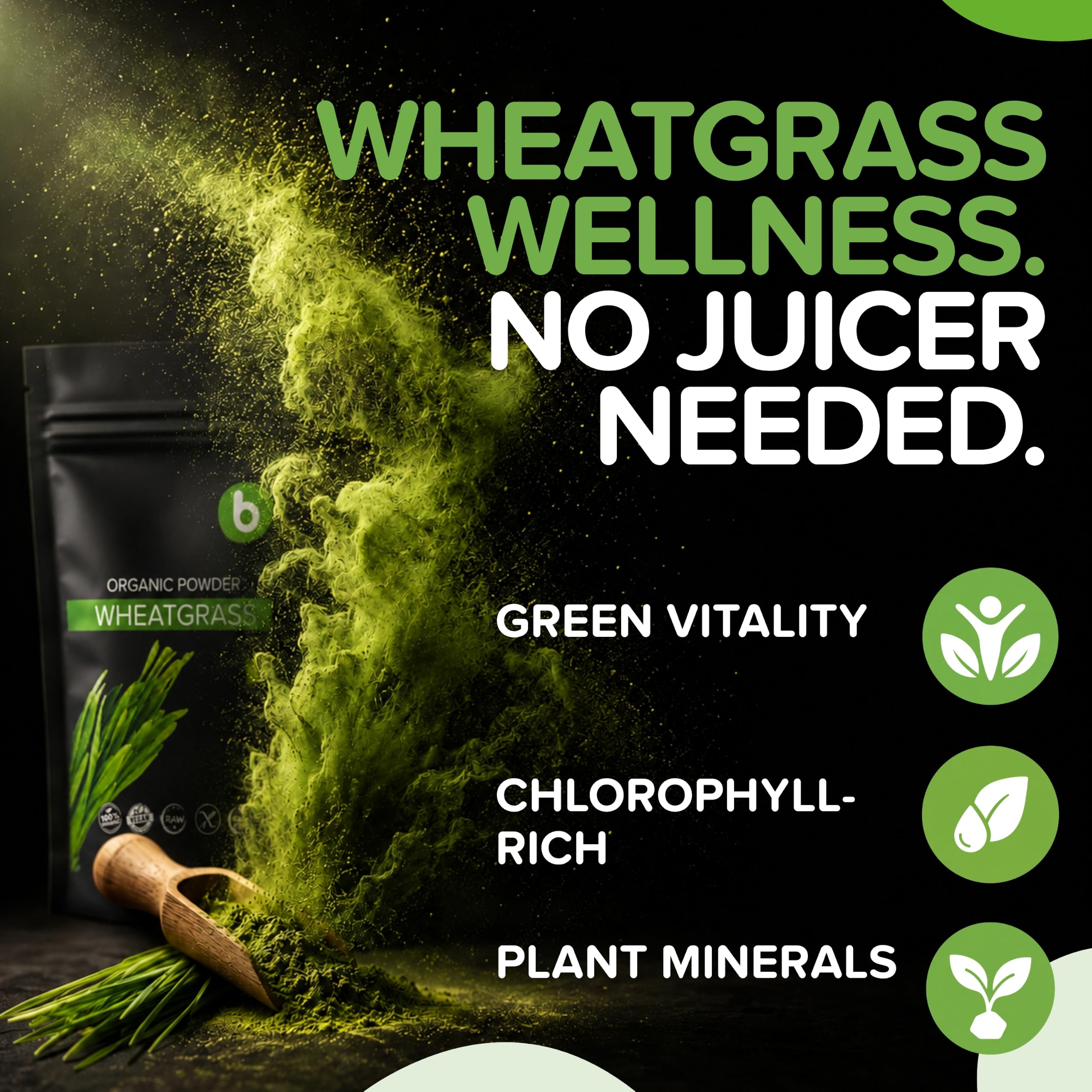 raw wheatgrass powder rich in fiber