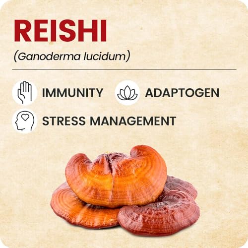Real fruit infused mushroom supplements