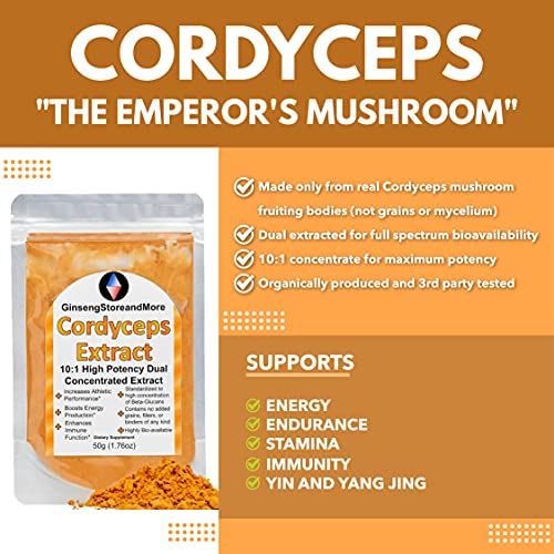 real mushroom fruiting bodies supplement