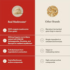 real mushrooms for brain health