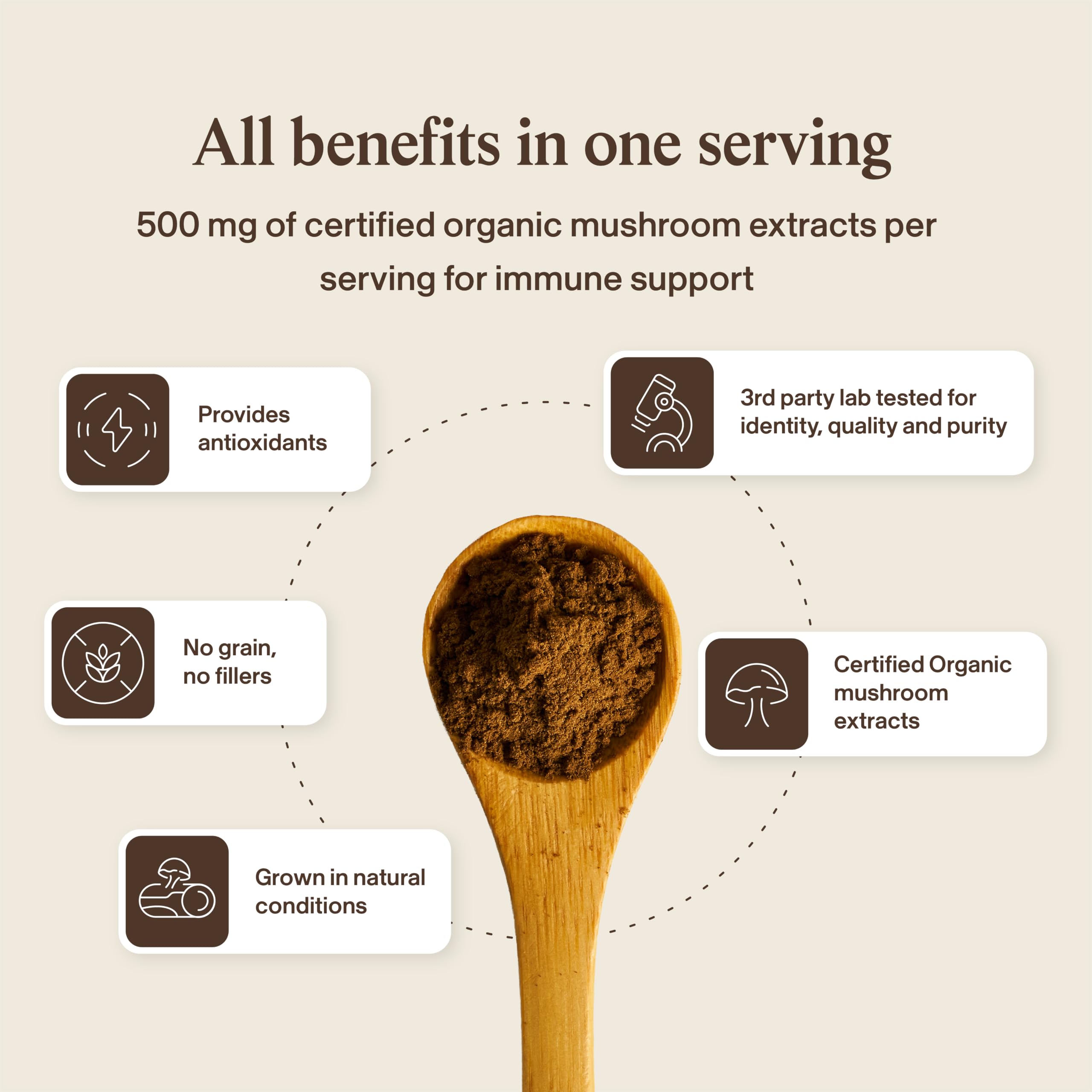 real mushrooms hot chocolate for energy