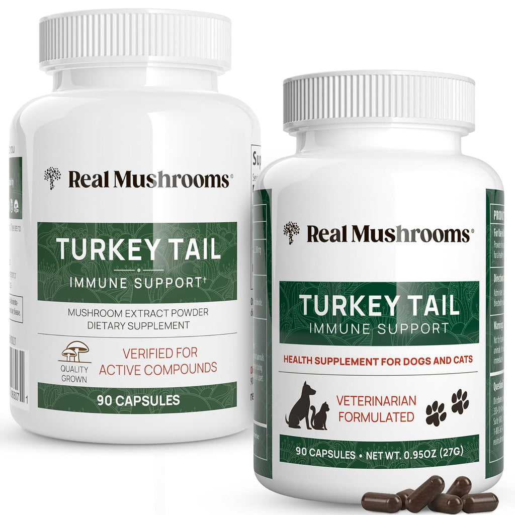 Real Mushrooms Turkey Tail capsules