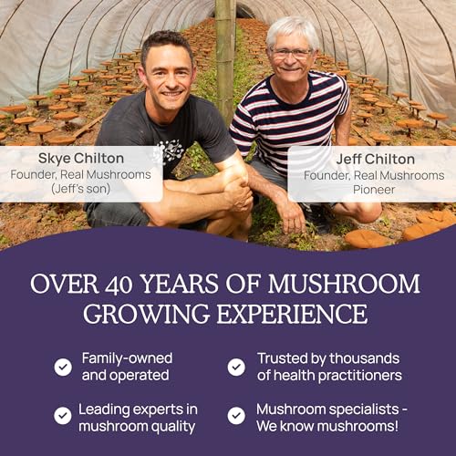 Real Mushrooms Zinc for everyday vitality