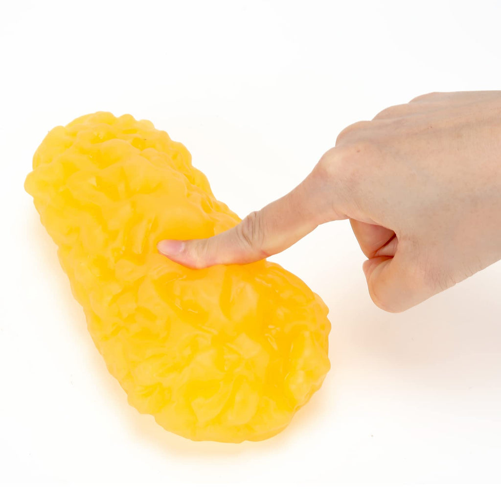 realistic human body fat for teaching