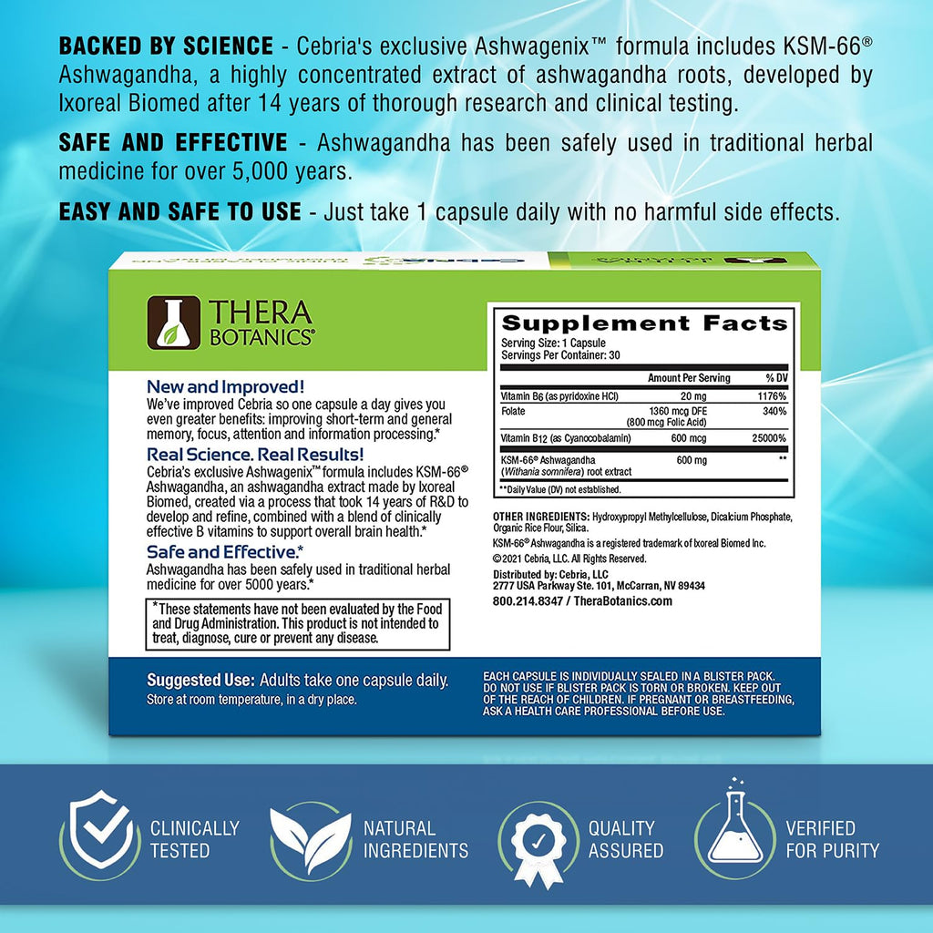 recall enhancement brain supplement