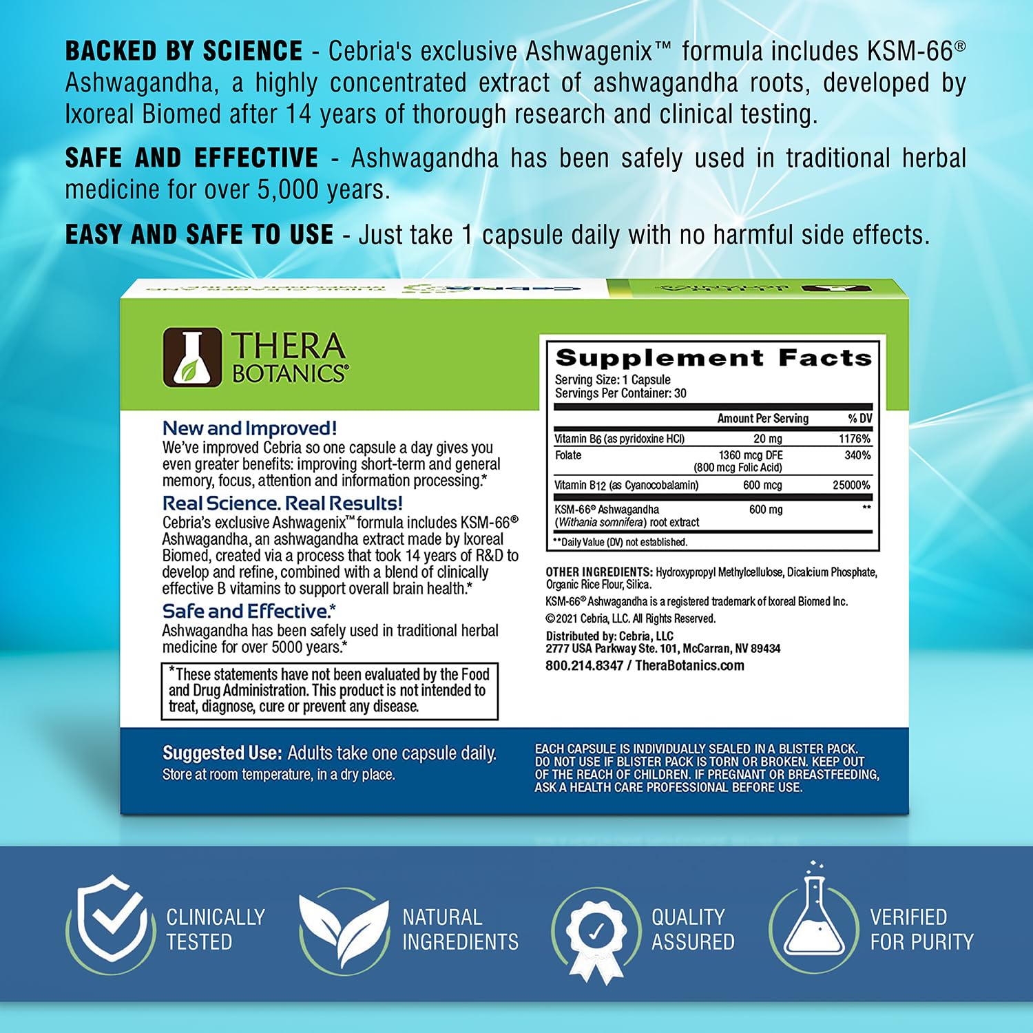 recall enhancement brain supplement