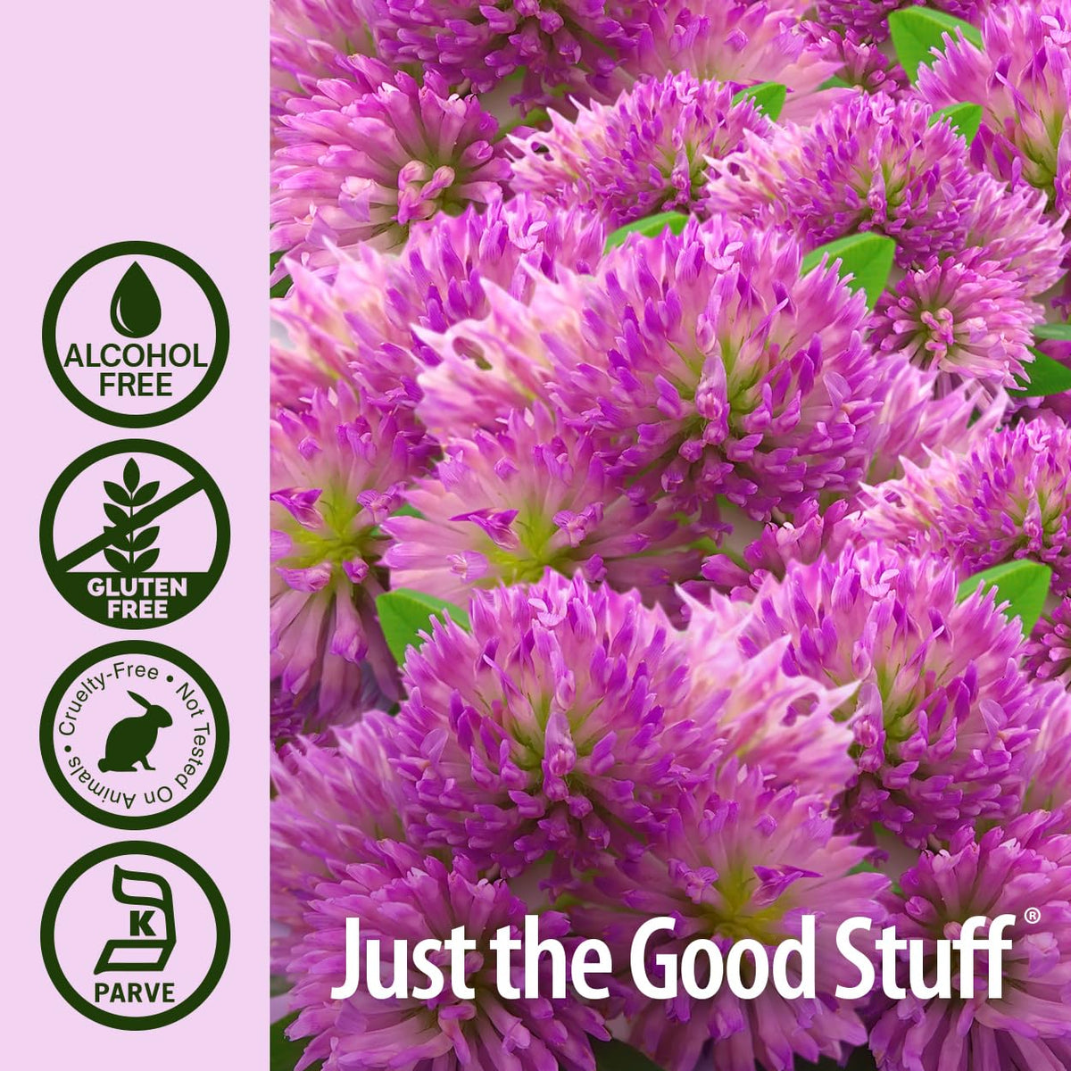 Red Clover extract for women's health