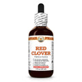 Red Clover herbal tincture benefits