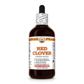 Red Clover herbal tincture benefits