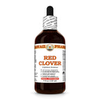 Red Clover herbal tincture benefits