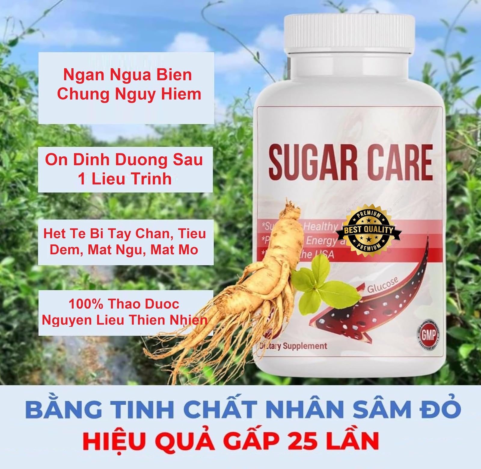 Red ginseng energy support vitamins