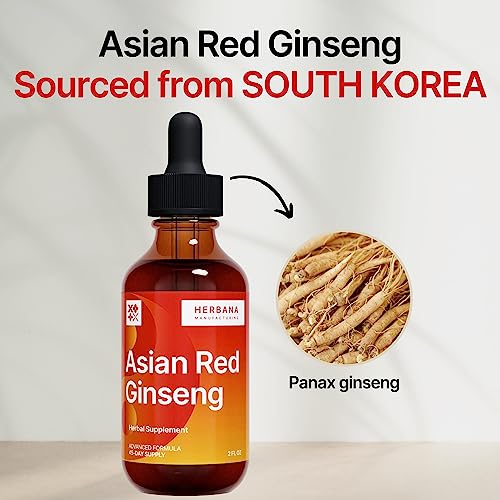 red ginseng for enhanced focus