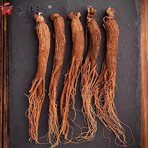 red ginseng for overall wellness