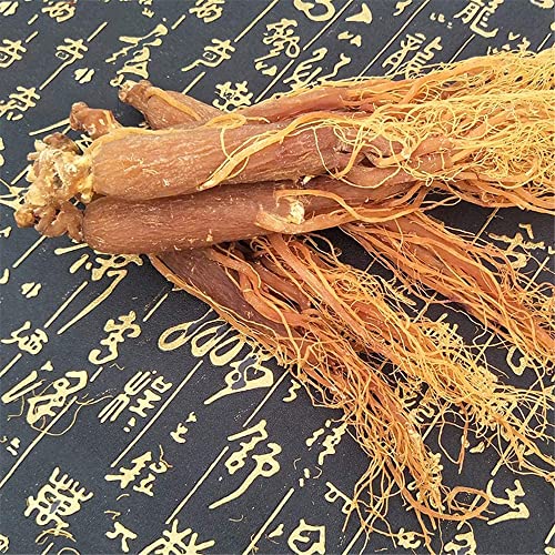 red ginseng roots for immune health
