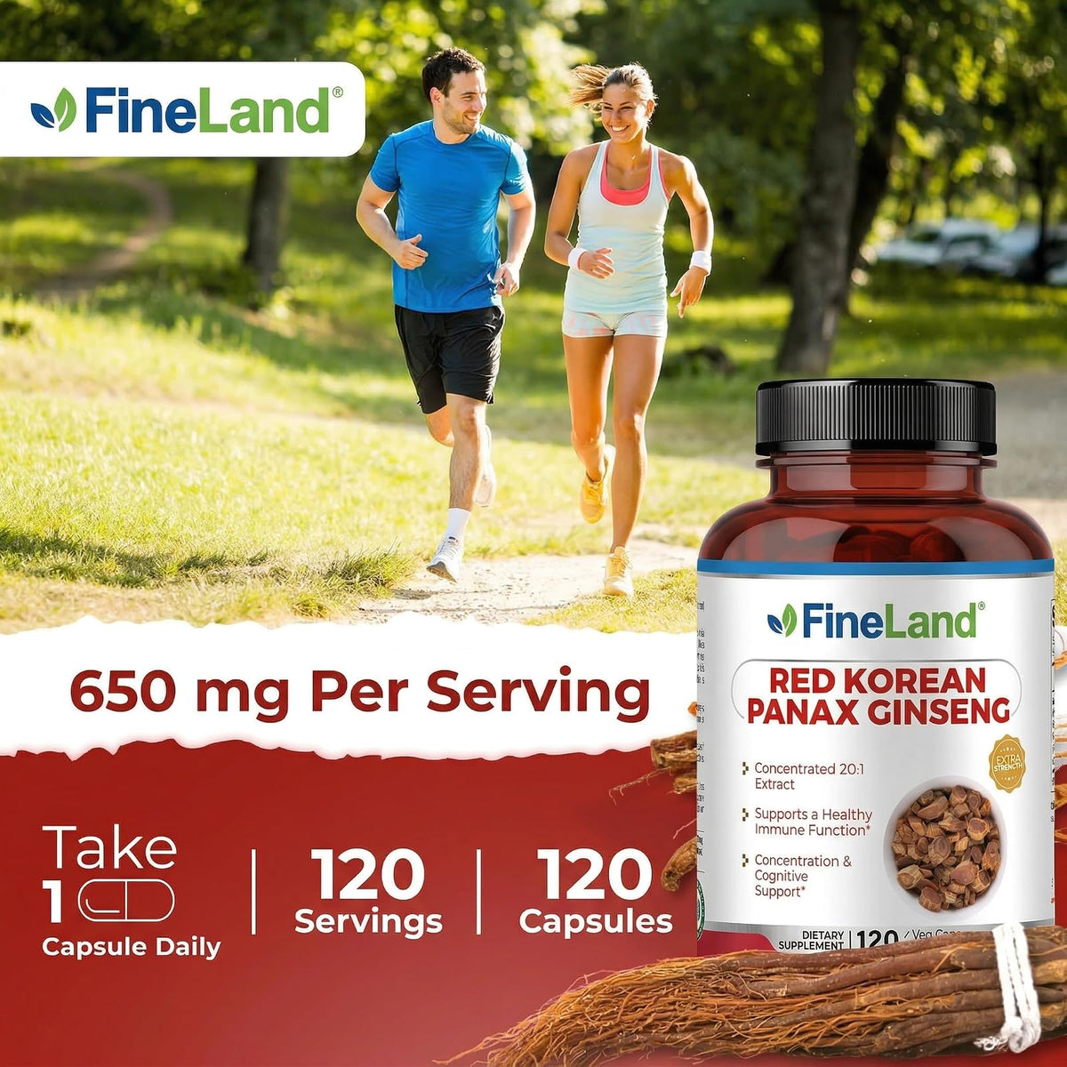 Red Korean panax ginseng health benefits