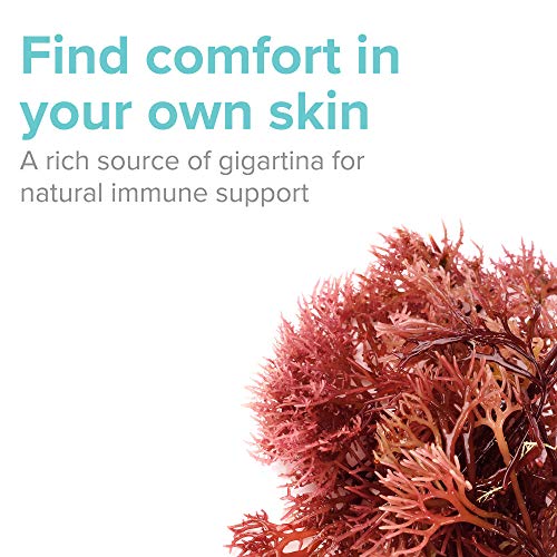 red marine algae health benefits