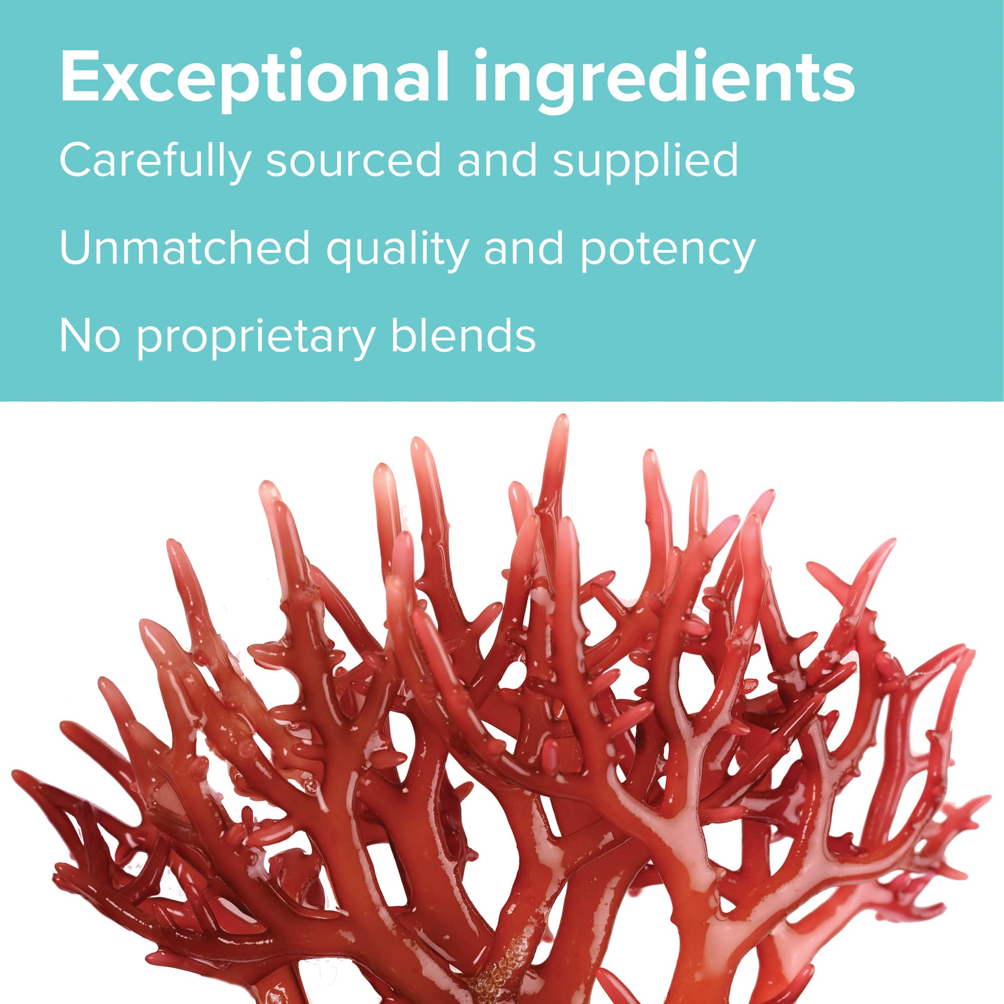 red marine algae health benefits