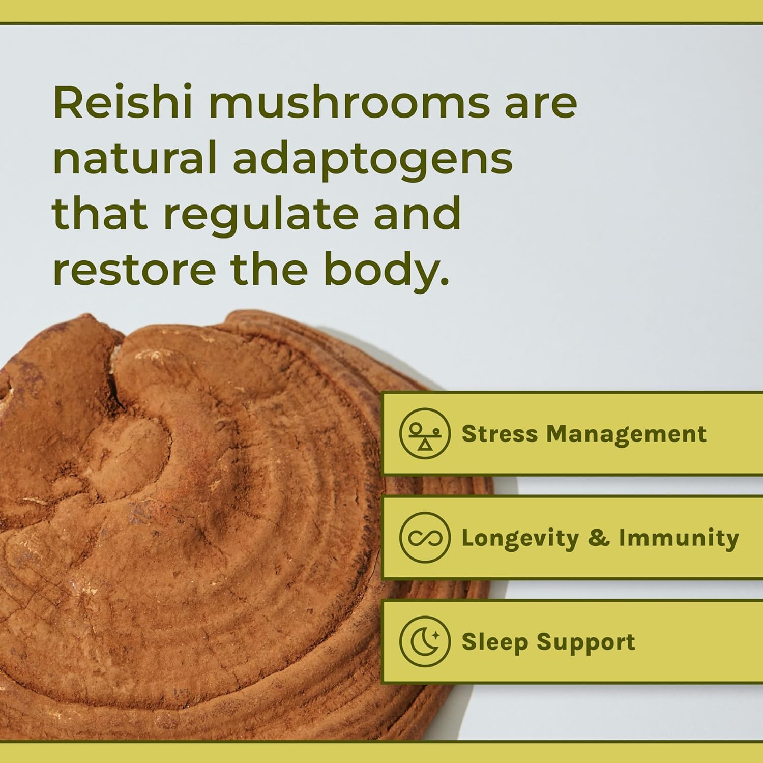 red reishi extract for vitality