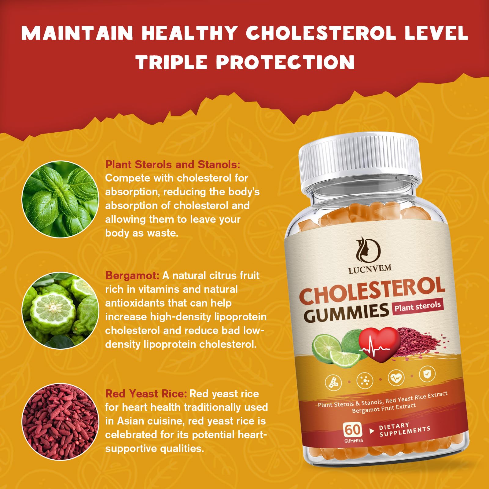 red yeast rice cholesterol support