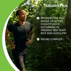 red yeast rice dietary supplement capsules