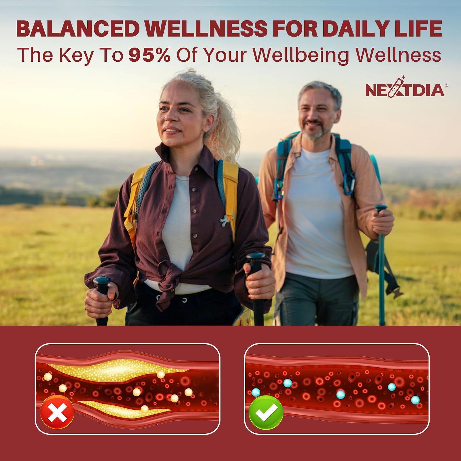 Red Yeast Rice multivitamin for seniors