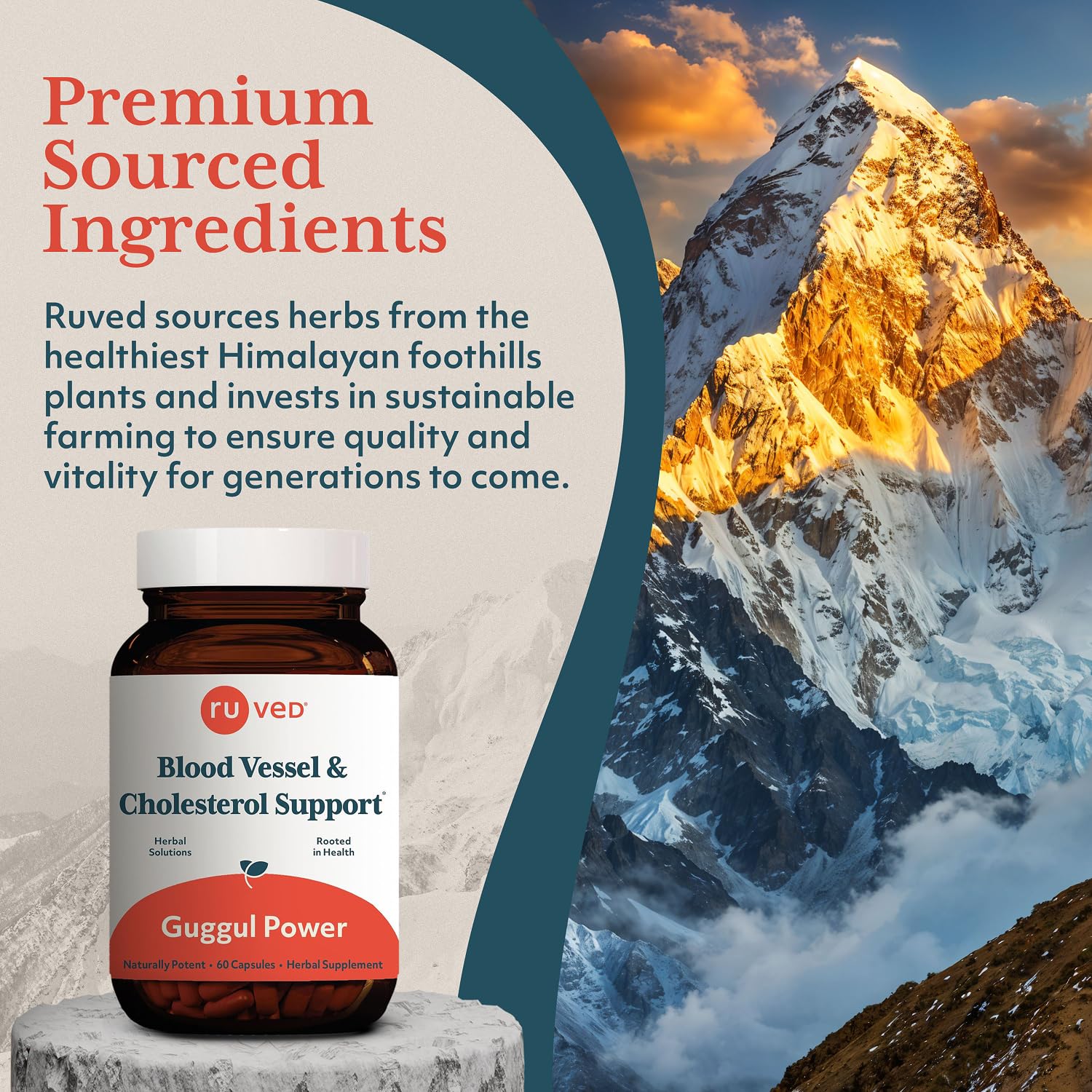red yeast rice plus for enhanced benefits