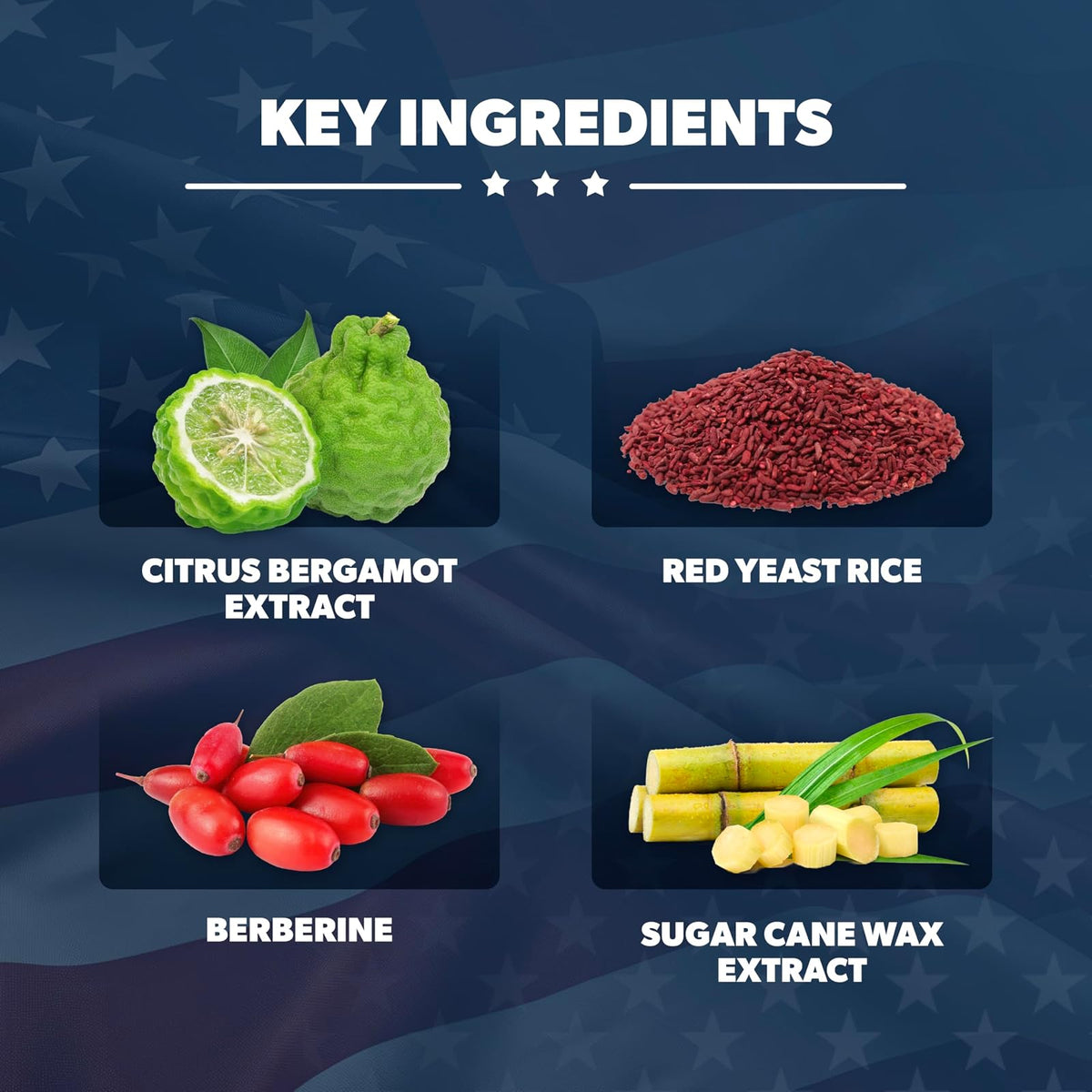 red yeast rice supplement for men