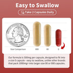 Red yeast rice with CoQ10
