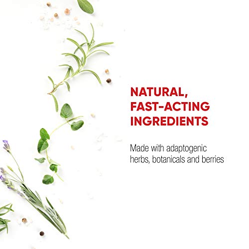 Redd Remedies elderberry health benefits