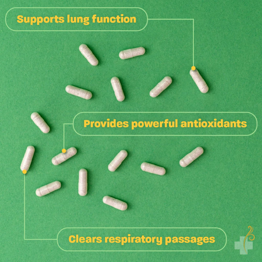 Redd Remedies respiratory health formula