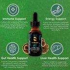 Redmint adaptogen mushroom tincture