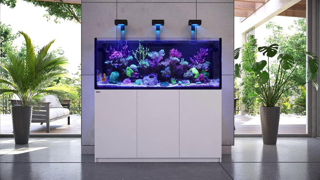 Reef Foundation A calcium solution