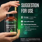 Refined Root dihydroberberine health benefits