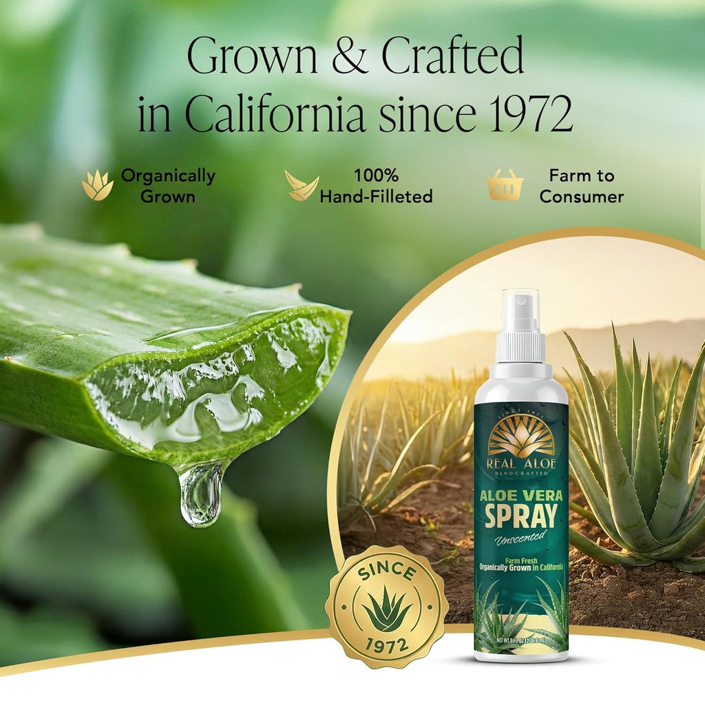 refreshing aloe vera after sun care
