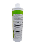 refreshing Aloe Vera beverage option