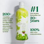 refreshing aloe vera beverage
