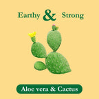 refreshing aloe vera cactus tea